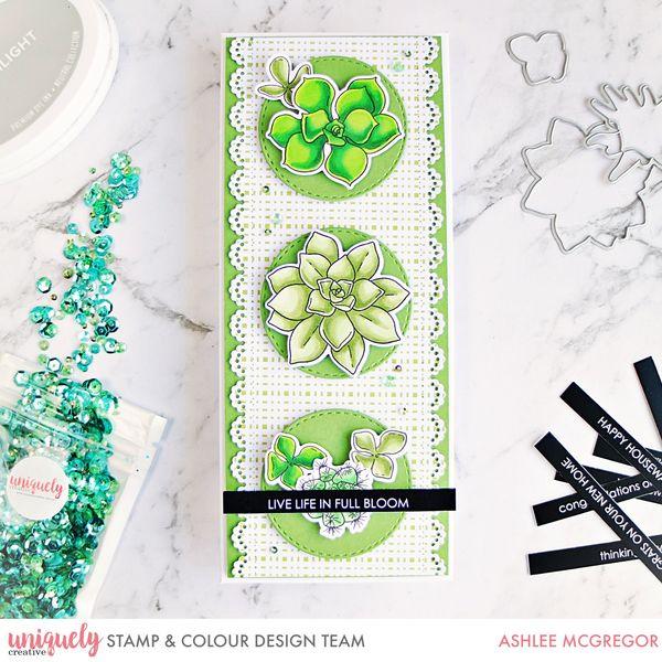 Slimline Card & Envelope Packs x 10 - Uniquely Creative | | CRAFT2U